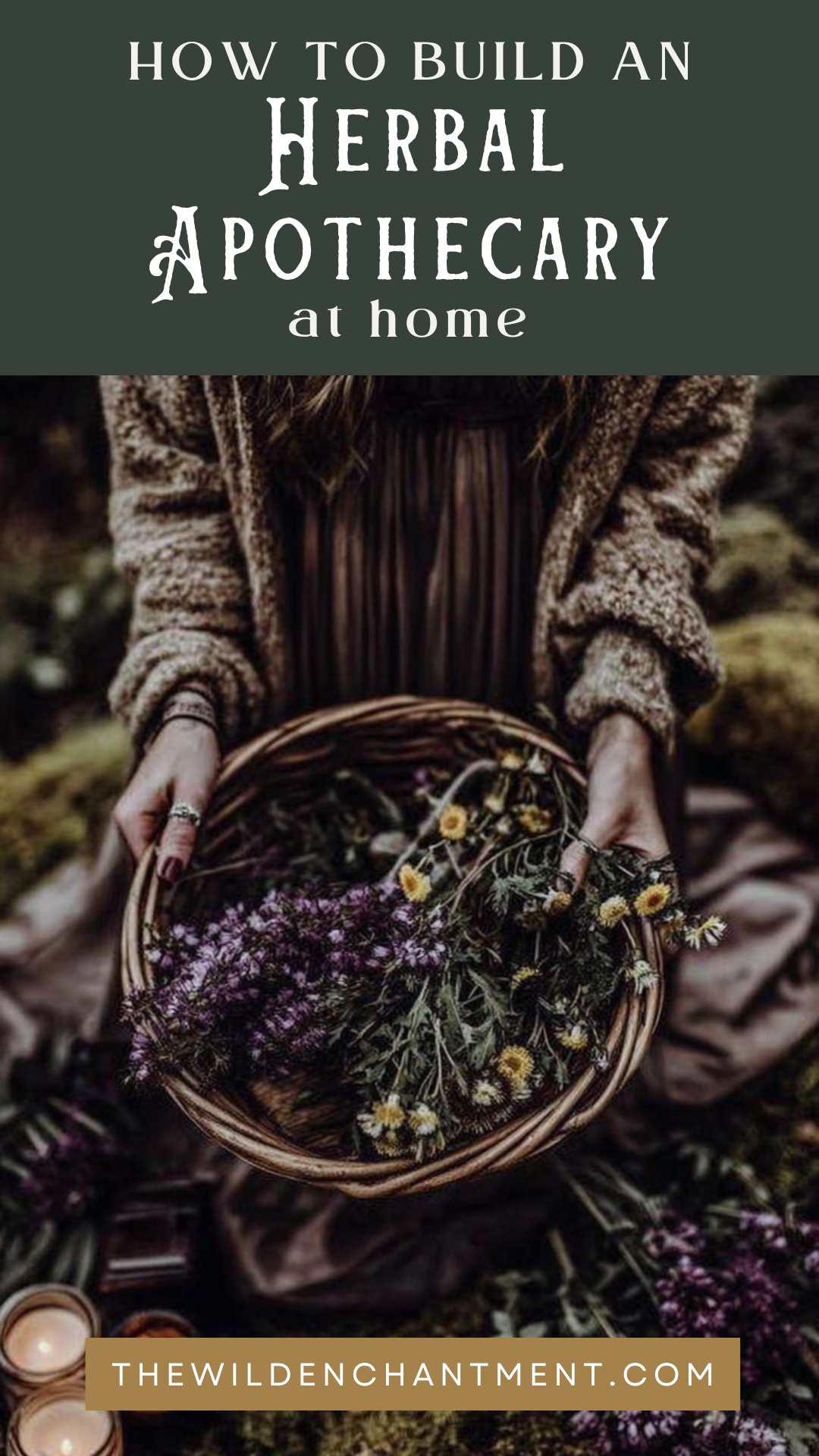 How To Build A Magical Herbal Apothecary On A Budget - Wild Enchantment